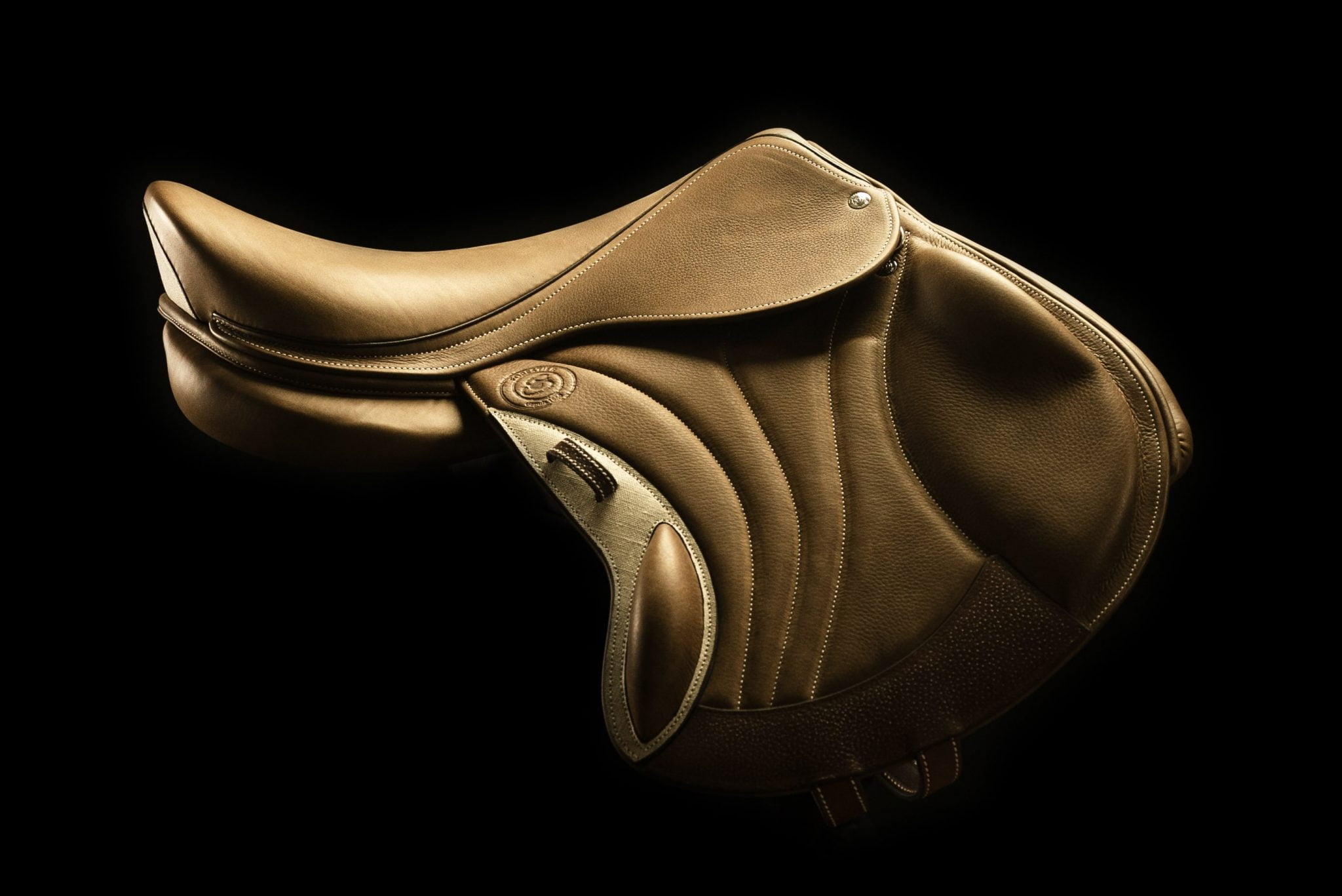 Quelles sont les Meilleures Innovations en Équitation