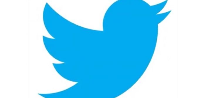 Logo Twitter : signification, histoire, téléchargement, etc.