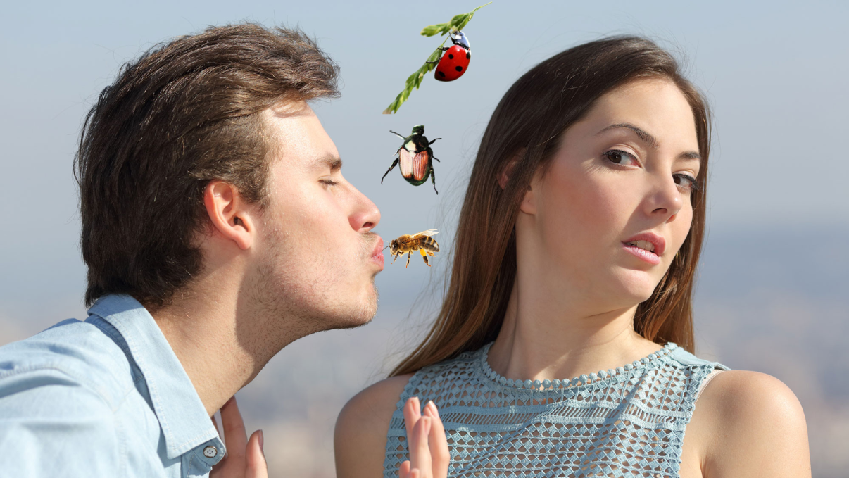 Bugkiss : cet outil insolite permet d'embrasser les insectes