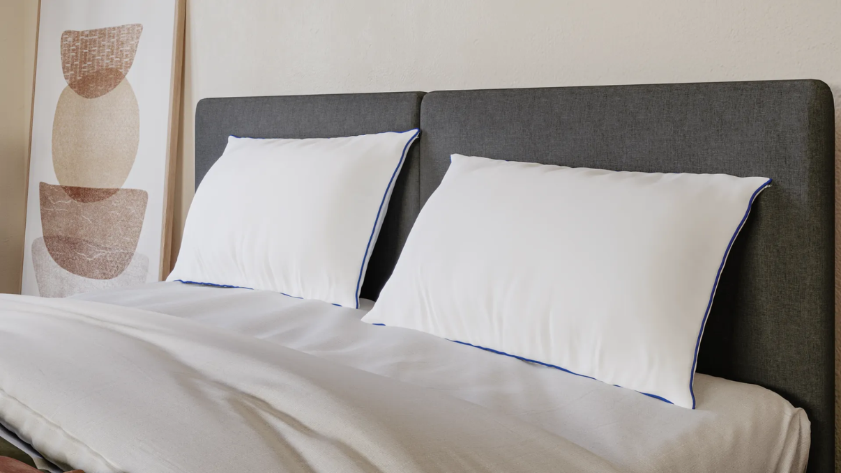 Les oreillers Emma sont en promo exceptionnelle : le confort ultime ...